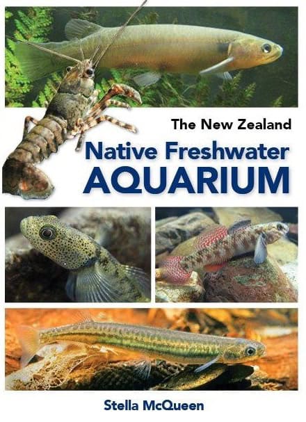 The New Zealand Native Freshwater Aquarium - Upstart Press