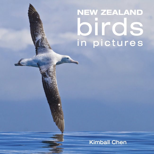 New Zealand Birds in Pictures - Upstart Press